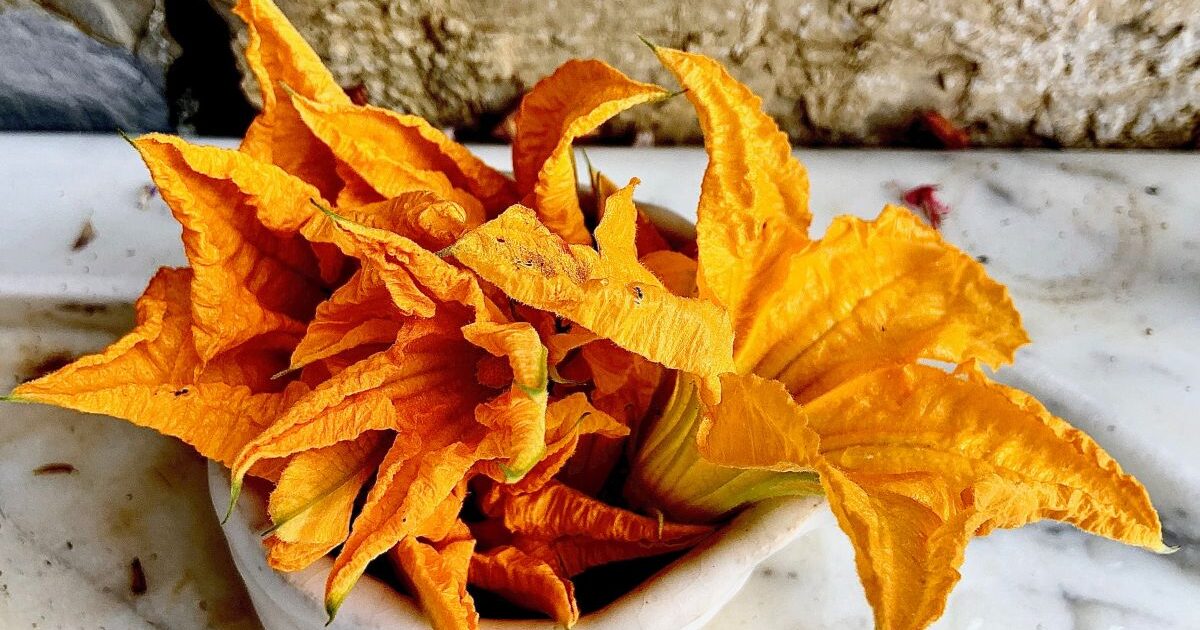 Cucurbitacee: da orto o da giardino? - Donna Moderna