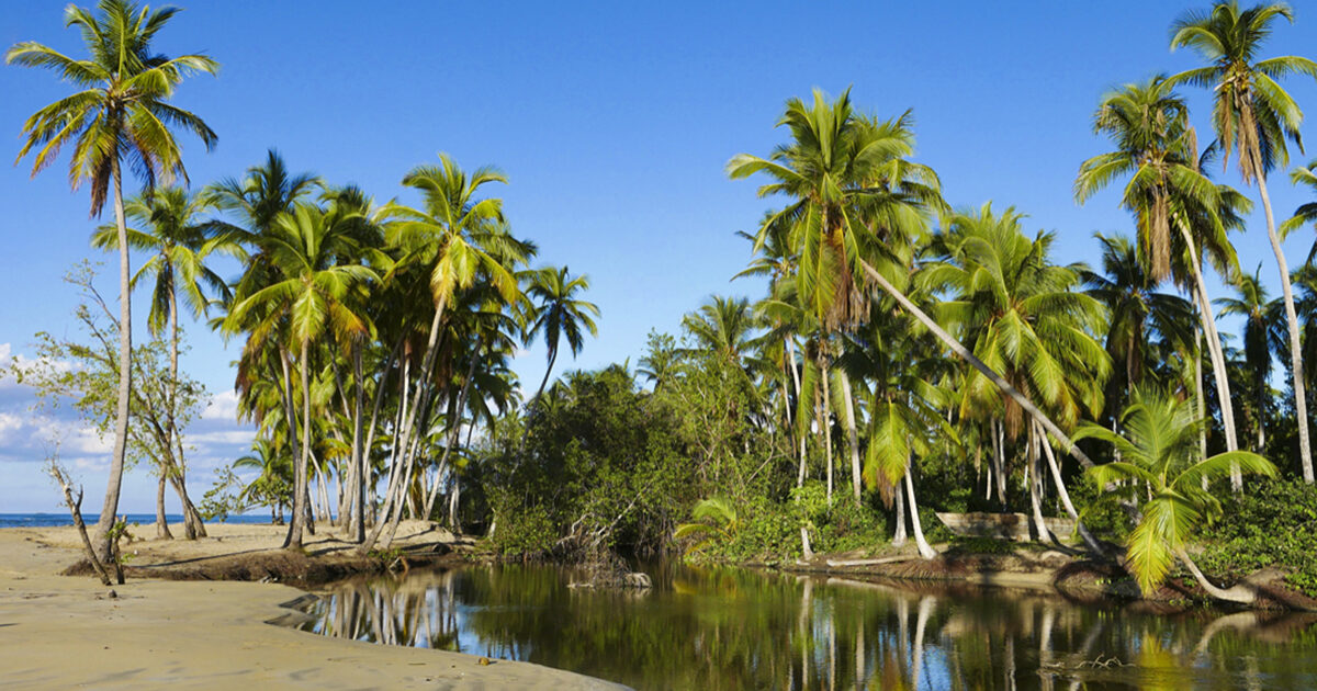 Repubblica Dominicana: un tuffo nei Caraibi più autentici - Donna Moderna