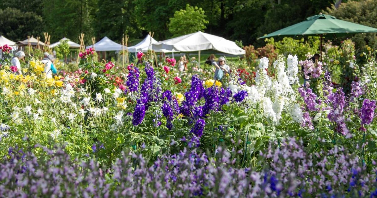 Giardini in fiore: 5 eventi da non perdere in Italia nel 2025 - Donna ...