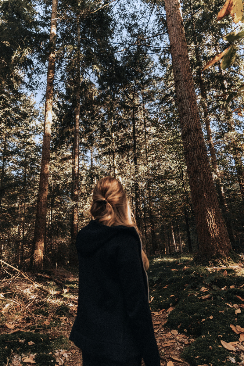 Scopri i superpoteri della terapia forestale - Donna Moderna