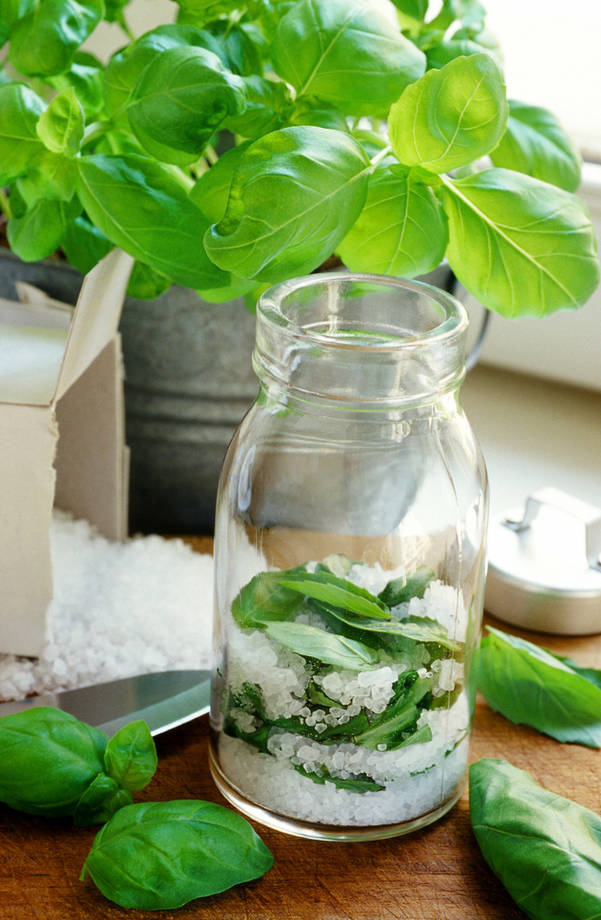 Come usare il basilico | Ricette | Conservazione - Donna Moderna