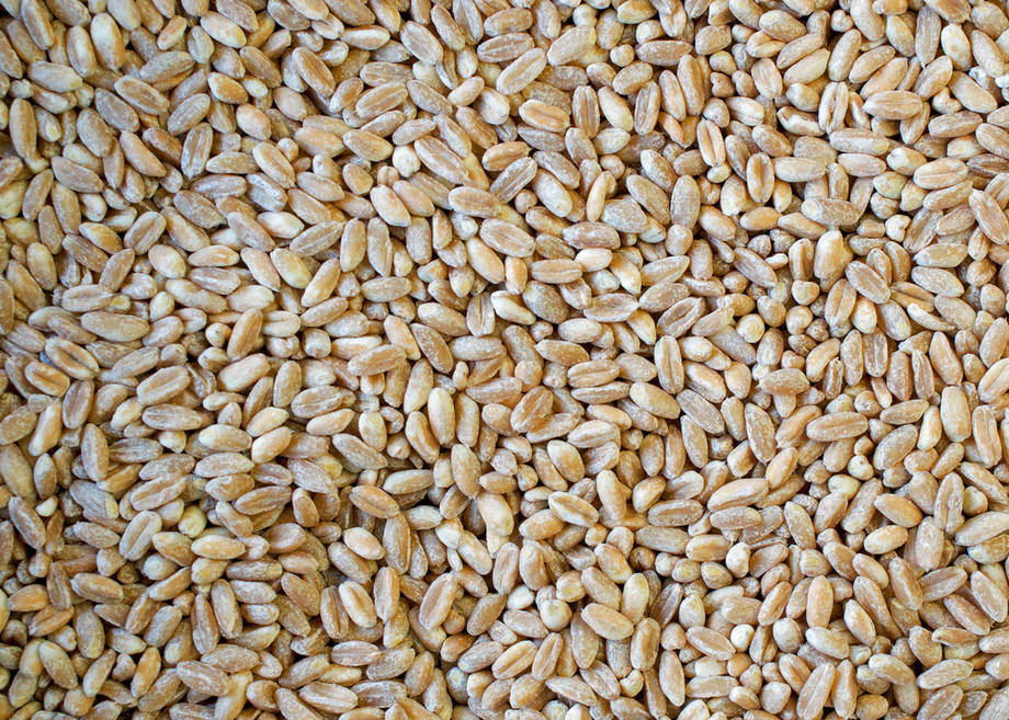 Farro | Ricette | Proprietà - Donna Moderna